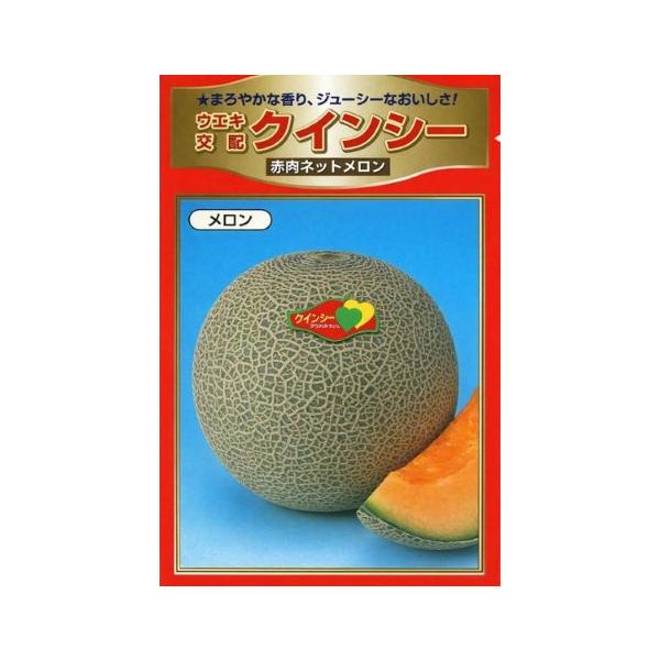 ●地這い立体栽培兼用種。●葉は中位で草勢は強い。●つる割れ病（レース0.2）に抵抗性で、うどんこ病に強い。●雄花着生・着果が良く作り易い。●果実は球形〜やや扁平球で、果皮は灰緑色。●果実はサーモンピンク色で厚い。●肉質は緻密で、カロチン臭が...