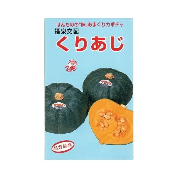 ●栗の実をさかさにしたような腰高形のかぼちゃ。●果実は1.3kg位、高度の粉質でよくしまっていて糖度高く、食味は洋種カボチャの中でも抜群に優れている。