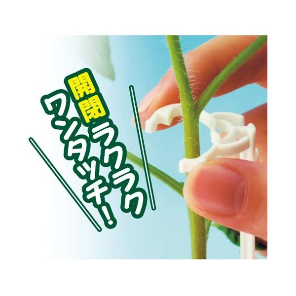 ●支柱部先端は土に刺さりやすく、根を痛めにくい形状になっています。●茎保持部と支柱が一体になっているので支柱の設置と茎の保持が同時に行えます。●茎が生長し茎径が太くなると徐々に保持部が開きさらに茎径が太くなると食い込まず自然に開放します。●...