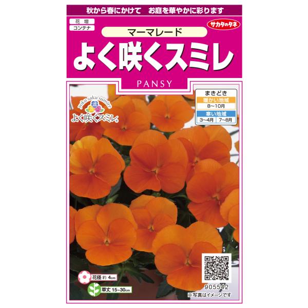 ●花径4cmの中小輪でパンジーの華やかさとビオラの強さを併せもった品種です。●コンパクトな草姿で花付きがよく秋から春まで咲き続けます。●鮮やかな橙色の花が咲きます。