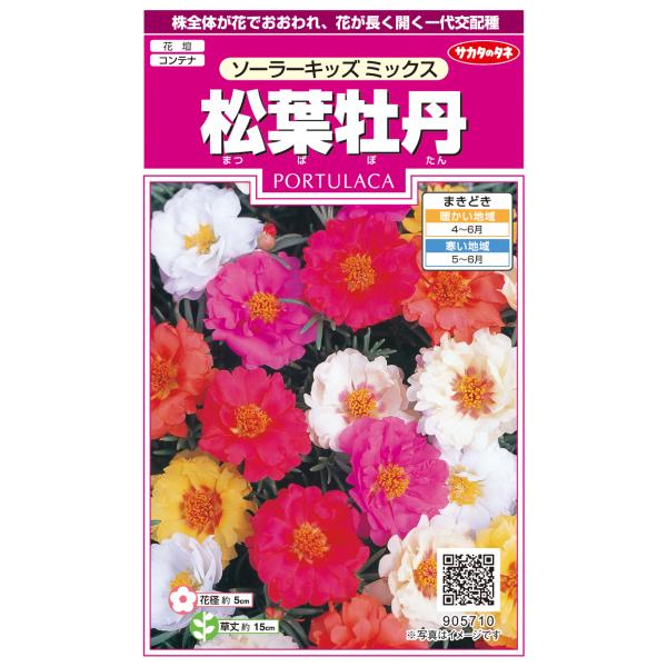 ●草丈約15cm、株張り約25cmのコンパクトな株全体が、花径約5cmのかわいらしい八重咲きの花でおおわれます。●従来種よりも早咲きで、日中開花している時間が長く、鮮やかな色彩が魅力の一代交配種です。