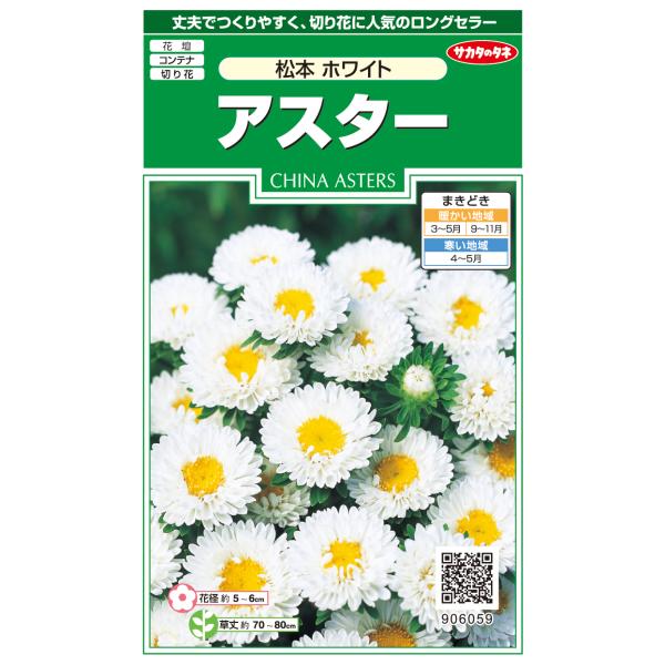●花径5cmほどで、暑い夏でも花もちがよく、お盆の花として人気のロングセラー品種です。●茎が丈夫で立枯病に強く、作りやすいので、夏の花壇や切り花に適しています。●花色は純白色です。