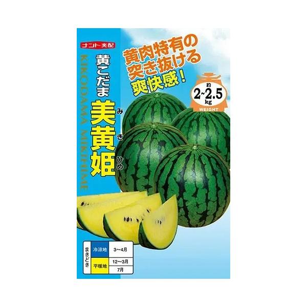 ●高温期における果肉色が濃く仕上がり、糖度も12〜13度程度に高くなる。●果肉硬さは『黄こだまＨ』以上で高温期における棚持ち向上。●果重は2〜2.5kgで『黄こだまＨ』と大差ない。●果形はより球形に近い。●外皮色やや濃い目で縞は美しく乱れが...