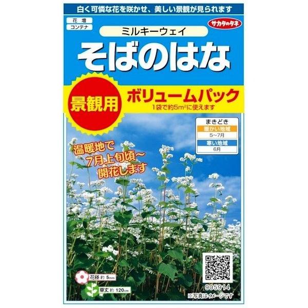 ●タネまきから40〜50日程度で開花し、肥料分の少ない土地でもよくできます。●白く清楚な花を畑一面に咲かせて、大変に美しい為、緑化利用もされています。