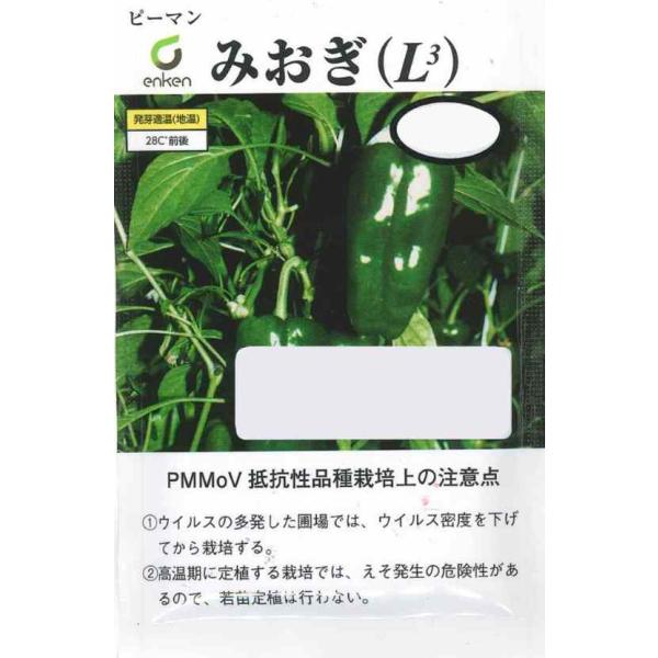 ●草勢は強く、節間はやや長めで、側枝の生育も良好です。●果実はやや長めでシワがあり、栽培後期まで果実は柔らかく、良好な品質を保ちます。●果実の肥大が早く、短い周期の収穫が可能で、多収性品種です。●日照の少ない冬の低温期から、夏季の高温期まで...