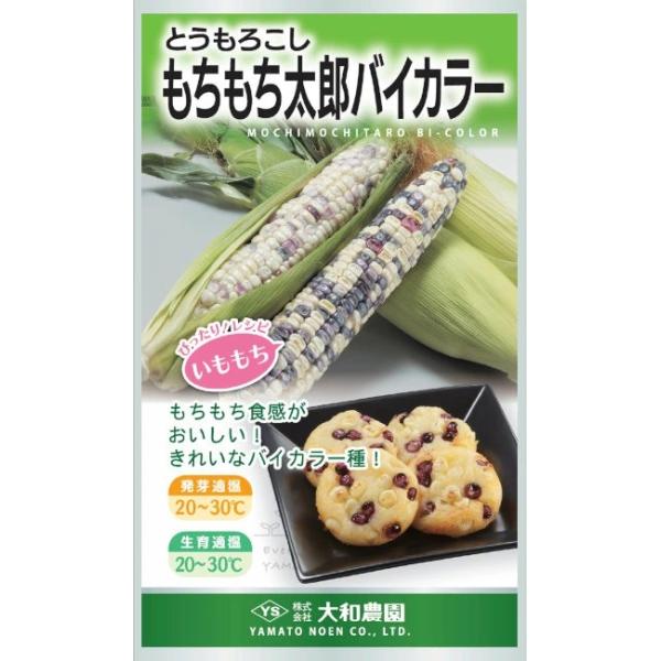●直売所出荷に向く、もちもち食感が珍しい白と紫のとうもろこし。●播種後の収穫目安は80〜85日程度。●皮付きで穂長は28cm、穂重は約320g。●草勢極めて強く、根張りが良い。＜種まき＞●元肥は全面施肥・1平方メートルあたり、苦土石灰100...