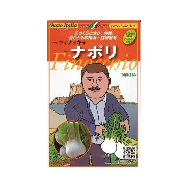 ●香り高く、塊茎色も白くきれい。●季節を問わず作りやすく、良く太る中早生。●収穫サイズは300g目安。●最盛期には500g の大きい株が収穫できるが、裂球に注意が必要。●痩せた土地でも比較的作り易い。