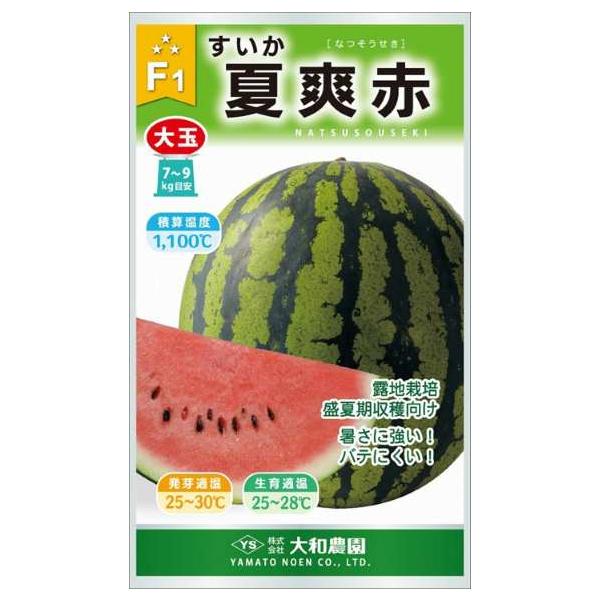 ●収穫が７〜8月の盛夏期の露地栽培に向き、多収性で品質維持が可能。●草勢は生育全般を通して強く、着果負担が少なく、高温時期でのつるもちに優れる。●果実は6〜8kgの正球型で、果形崩れや日焼け症状が出にくく、秀品率が高い。●シャリ感強く食味に...