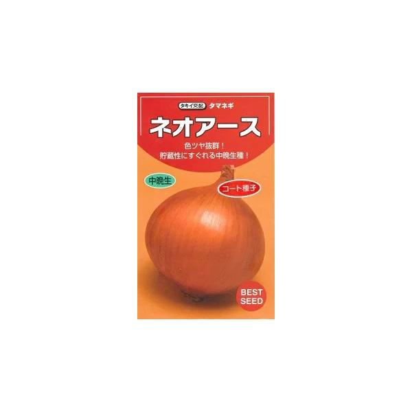 ＜貯蔵種としては早めに収穫できる中晩生種＞●玉は豊円球でそろい、しまりとも良好。●特に皮色が濃く、つやがあり美しい。●1球平均350gで貯蔵中の萌芽や尻部の動きが遅く、貯蔵病害にも強く歩どまりがよい。