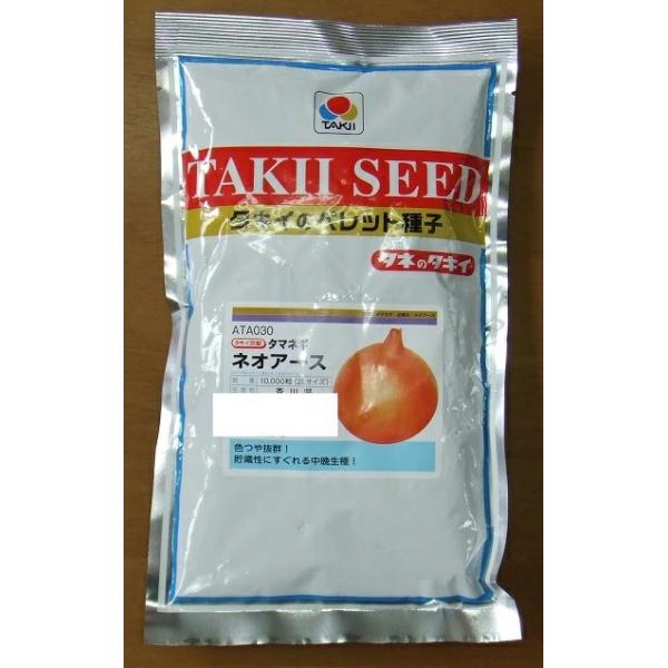 ＜貯蔵種としては早めに収穫できる中晩生種＞●玉は豊円球でそろい、しまりとも良好。●特に皮色が濃く、つやがあり美しい。●1球平均350gで貯蔵中の萌芽や尻部の動きが遅く、貯蔵病害にも強く歩どまりがよい。