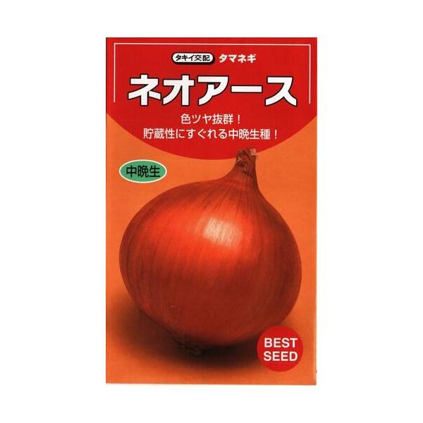＜貯蔵種としては早めに収穫できる中晩生種＞●玉は豊円球でそろい、しまりとも良好。●特に皮色が濃く、つやがあり美しい。●1球平均350gで貯蔵中の萌芽や尻部の動きが遅く、貯蔵病害にも強く歩どまりがよい。