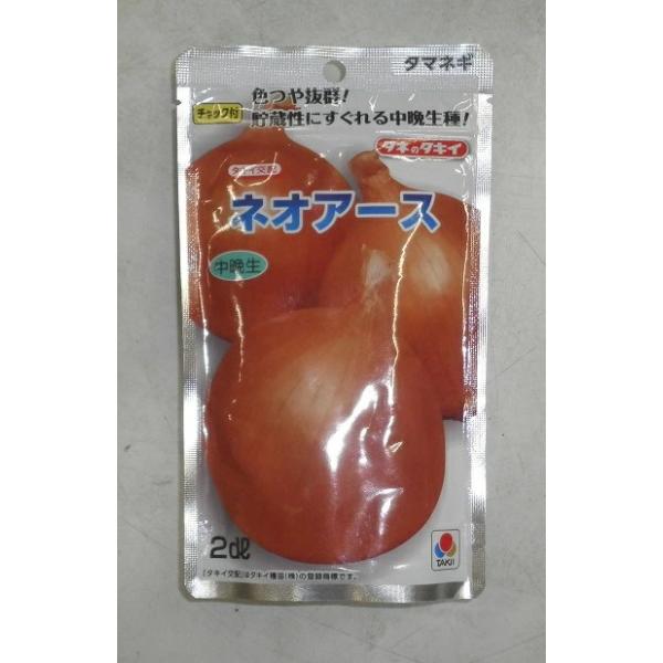 ＜貯蔵種としては早めに収穫できる中晩生種＞●玉は豊円球でそろい、しまりとも良好。●特に皮色が濃く、つやがあり美しい。●1球平均350gで貯蔵中の萌芽や尻部の動きが遅く、貯蔵病害にも強く歩どまりがよい。