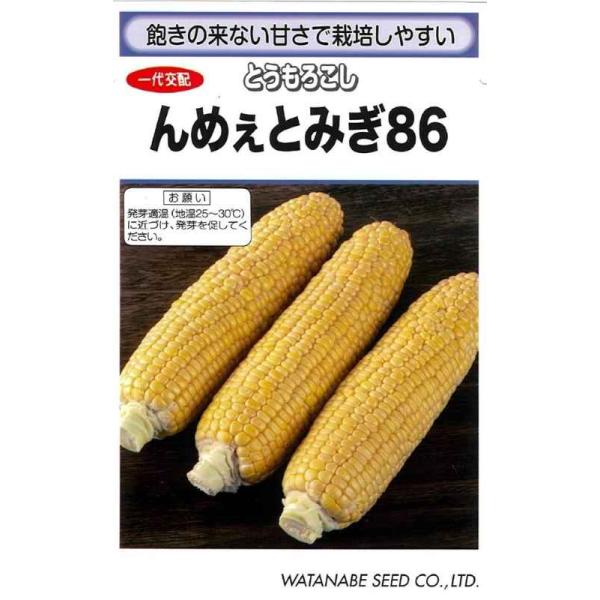 ●播種後86日程度で収穫可能な中早生種です。●飽きの来ない甘さと、やわらかな粒皮が特徴的です。●比較的発芽が安定し、初期生育に優れます。●草丈は170〜180cm程度です。●穂重は苞葉付きで350ｇ程度です。※「んめぇ」は東北の方言で「うま...