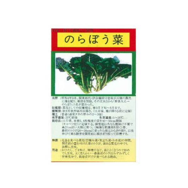 ●花茎を食べる菜花（芯摘み菜・茎立ち菜・かき菜）の仲間。●開花前の蕾を付けた春のトウが、数ある菜花の中でも抜群に美味。●収穫期：菜花としての収穫期は春3月下旬〜5月まで。●播種期：秋9月彼岸頃冷床蒔き（11月頃、霜が降りる前に定植）。●覆土...