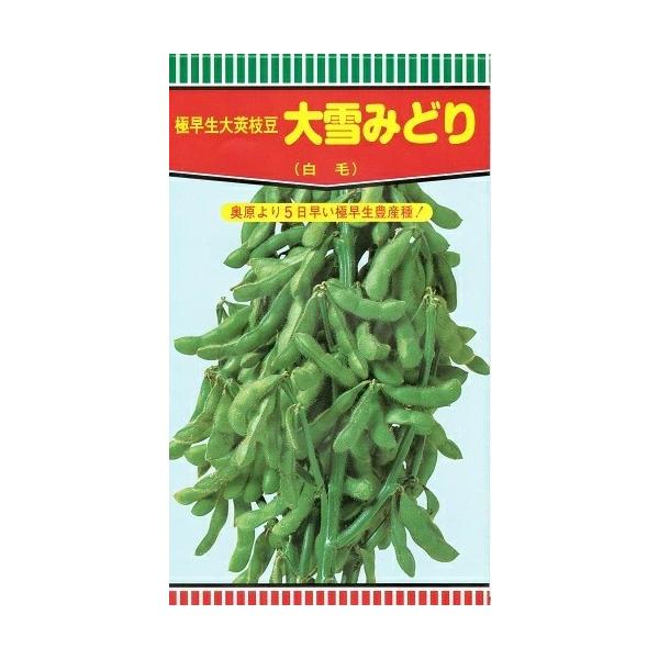 ●極早生の白花、白毛で熟期は奥原より4〜5日早い。●草丈は40cm前後で、分枝3本位で密植ができる。●豊満な大莢、しかも三粒莢が多く80日位で収穫。●鮮緑色の莢は、日持ち良く、極早生種として市場性が高い。●食味良好でハウス、トンネル露地早熟...