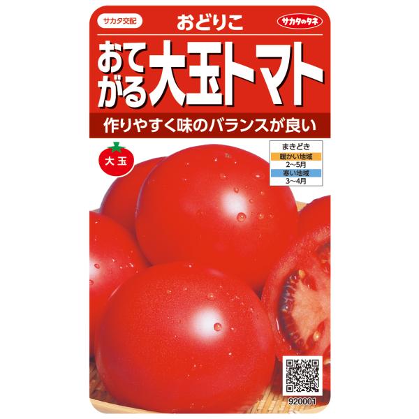 ●たくさんとれて、つくりやすいので家庭菜園でも人気があります。●赤く熟してから収穫でき、家庭菜園にもぴったりの品種。●糖度と酸度のバランスがよく、とてもおいしいトマトです。●トマト本来の程よい酸味があります。●病気に強いので、低農薬栽培がで...