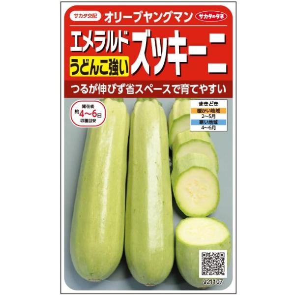 ●果実は円筒形でライトグリーン。●長さ20cm前後で収穫する。●草勢はやや旺盛。●つるが伸びないので面積をとらず、整枝の手間もかからず家庭菜園に好適。●ウイルス病（PRSV、ZYMV）とうどんこ病に耐病性で栽培しやすい品種。●ズッキーニ特有...