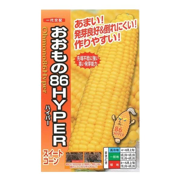 ●86日の中早生イエロー種。●トンネル〜露地マルチ栽培に好適（露地の遅い作型には「（初代）おもろ」が適する）。●低温期でも高い発芽能力を持つ。●生育旺盛で根張り良く、倒伏に強い。●分げつ（脇芽）発生多め。●皮付穂重450g前後。●草丈180...