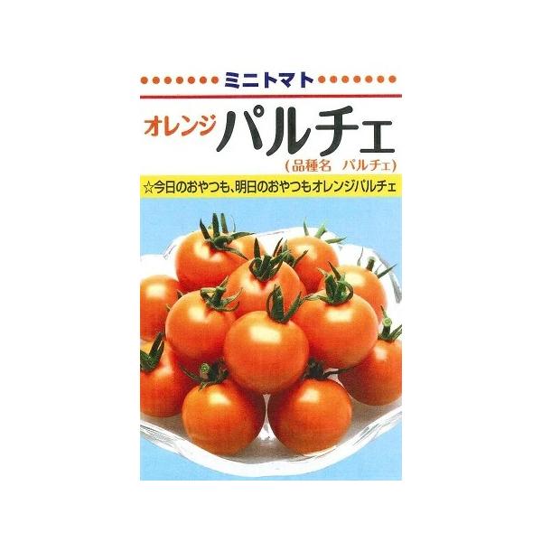 ●果重15g位の丸玉。●オレンジに近い黄色果。●糖度は高く風味はとても良いです。●低段位はシングル花房ですが、高段位は複花房となりやすいです。●異常茎になりにくい品種です。●ToMV（Tm-2a）、萎凋病（レース1）に耐病性があります。●β...