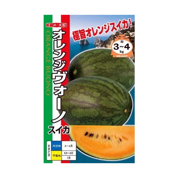 ●果肉は明るいオレンジ色で、爽快な甘さと食感が楽しめます。●ラグビー型の形状で、極濃緑色の地色に太めの縞が入った外観です。●低温期でも花粉の発生が多く着果良好で、裂果も少ないです。