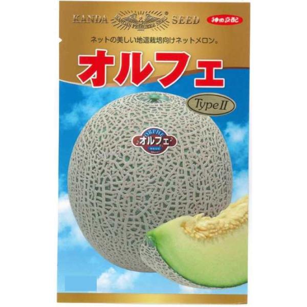 ●オルフェと同様、晩生種なので温度が高い時期に適します。●草勢は強く、雌花の着生・着果は安定し、優れています。●根張りが良いので収穫まで樹勢を維持しやすく栽培容易です。●果実は1.5〜1.8kg以上で正球形〜やや高球系になります。●果皮色は...