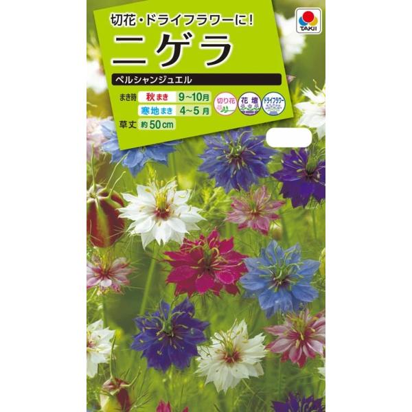 ●草丈約50cmの耐寒性一年草で、花径4〜5cm。●花を１茎に１花ずつ咲かせ、葉は深く切れ込みます。●実は風船のようにふくれ、ドライフラワーにできます。