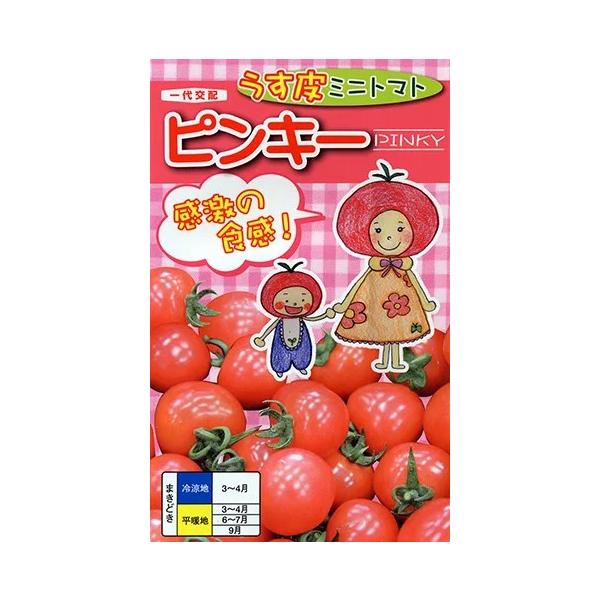 ●果皮の色は、光り輝くピンク色で、まるでサクランボの高級種『佐藤錦』のような光沢（艶）のある外観。●従来のミニトマトは果皮が硬く口の中に皮が残りましたが、この品種の果皮は透明感があり、大玉トマトのような質で薄く、口の中に残らないのでお子様か...