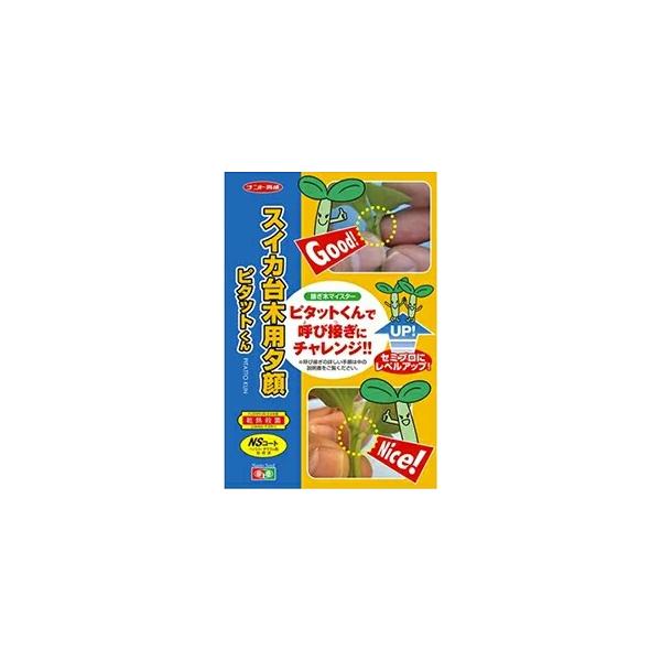 ●胚軸が太く、接木作業が容易です。●草勢が強く、耐暑性、耐寒性に優れ、つる割れ病に強い西瓜台木用夕顔です。