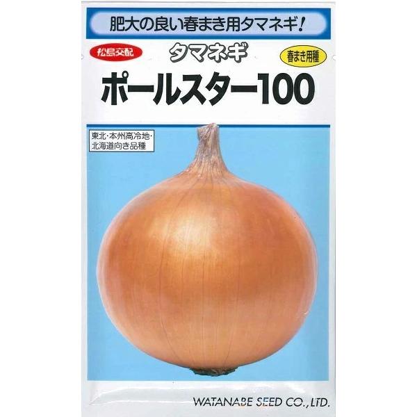 ●東北・本州高冷地・北海道などの雪解けの遅い地域におすすめの春まき専用種です。●茎葉の生育は旺盛で、特に肥大性に優れる安定多収品種です。●早晩性は東北地方で「オーロラ」より10日位遅い中生品種です。●北海道では8月上旬に収穫できる早生品種で...