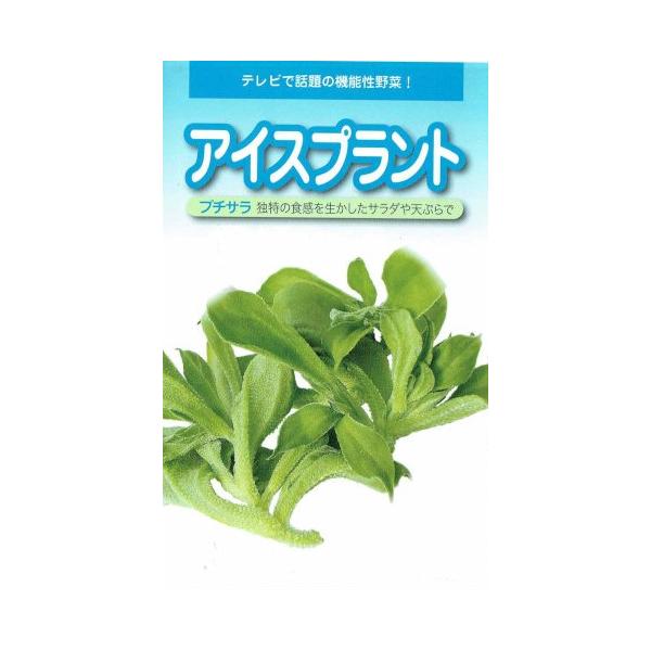 ●南アフリカ、ナミブ砂漠原産の一年草で話題の新野菜。●ミネラルや栄養を豊富に含み、中性脂肪増加を抑制する効果のあるミオイノシトールや血糖値を下げる効果のあるピニトールといったメタボ予防に効果のある成分も豊富に含む。●葉縁や茎は宝石を散りばめ...