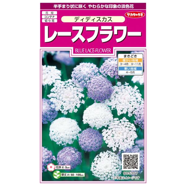 ●ごく小さな花が約5cmほどの半手まり状に集まり、中心部からわき上がる咲きます。●草や葉は柔毛におおわれスプレー状の草姿は洋花的趣があり、花もちの良い切り花になります。＜タネまき＞●早春のころが適期ですが、暖かい地域では秋まきもできます。●...