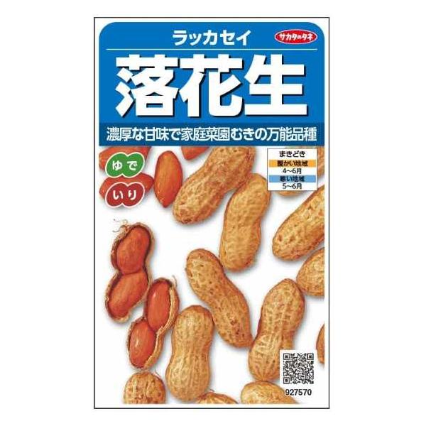 ●病気や湿害に強く、ガッチリと育ってつくりやすく、家庭菜園に向くラッカセイです。●よく枝分かれをして莢つきが多く、すぐれた品質です。●とても香ばしく、甘味が強い濃厚な味わいです。＜タネまき＞●うね間60cm、株間35cmで、1か所2〜3粒ず...