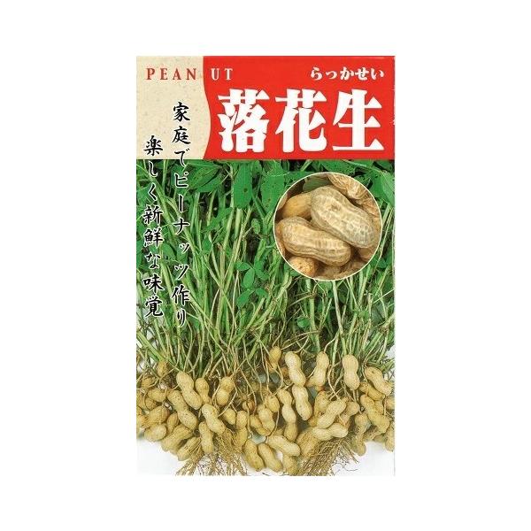 ●草丈60cm程度、半立性の中生種。●生育旺盛で分枝がよく多収。●2粒莢が多く、莢のそろいがよい中粒種。●食味にすぐれ、市場性が高い。＜栽培の要点＞●過湿には弱いので、圃場は排水のよい所を選ぶ。●高温性作物なので、遅霜後、地温が12℃以上に...