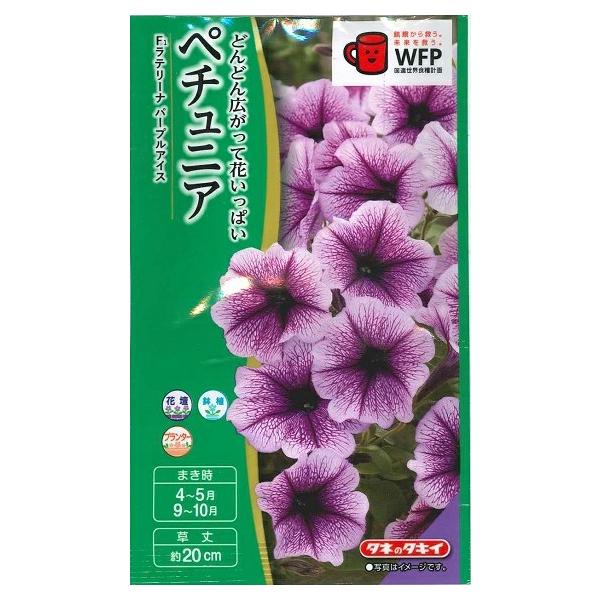 ●這うように広がるペチュニアです。●一株で60~90cm程に広がります。●大鉢やプランター、花壇の他、ハンギングバスケットもおすすめです。※コート種子を使用しています（コート種子は壊れやすいので注意してください）。
