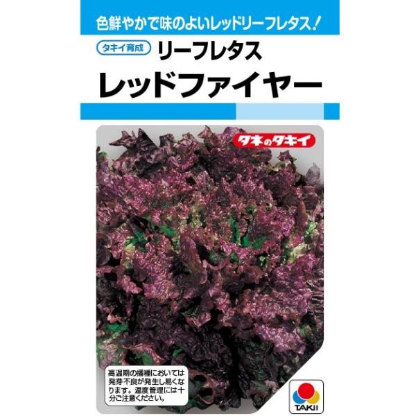 ●草勢旺盛で、作りやすい早生の多収種。●草姿は立性で、葉は幅広く、赤色と緑色の着色がよい。●肉質はやわらかくて食味にすぐれる。＜栽培の要点＞●若苗定植で初期生育を旺盛にし、早めに株を作り上げる。●収穫期には、やや肥効を落ち着かせるとともに、...