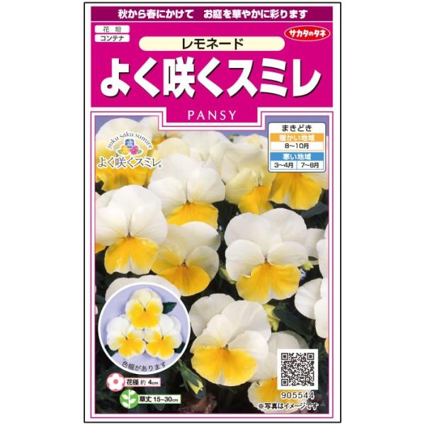 ●花径4cmの中小輪でパンジーの華やかさとビオラの強さを併せもった品種です。●コンパクトな草姿で花付きがよく秋から春まで咲き続けます。●クリーム地に黄色い花が咲きます。
