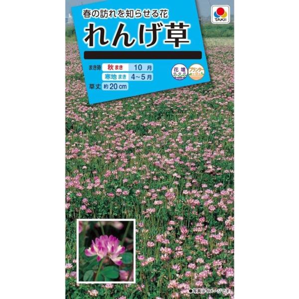 ●昔から緑肥として利用され、ハチミツがとれる花としても有名です。●花径2〜3cm、花色は紅色です。●丈夫で作りやすく、よく知られている花です。●水田裏作の緑肥、飼料用、蜜源および景観用として広く利用される。●乾燥良好な肥沃土壌を好むので、排...