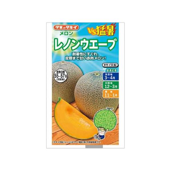 ●耐暑性にすぐれ、幅広い作型に対応する赤肉ネットメロン。●種子部が小さく、皮際まで赤く着色するため果肉が厚い。●肉質は緻密で日もちがよく、糖度も高く安定する。●太めのネットが密に安定して発生し、果ぞろいよく秀品率も高い。●草勢は強めで着果も...