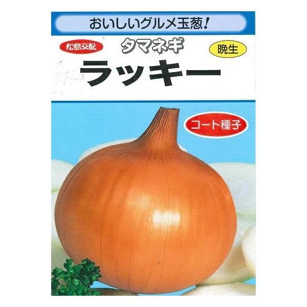 ●生育強勢で、越冬率高く、乾燥にも強い晩生種です。さらにべと病に対して強く、栽培が容易です。●1球350gくらいの甲高黄大球で多収です。●品質は極めて良く、肉質適度に柔らかく、辛みが少なく甘みがあり、生食、煮食に好適です。●吊り下げ貯蔵での...