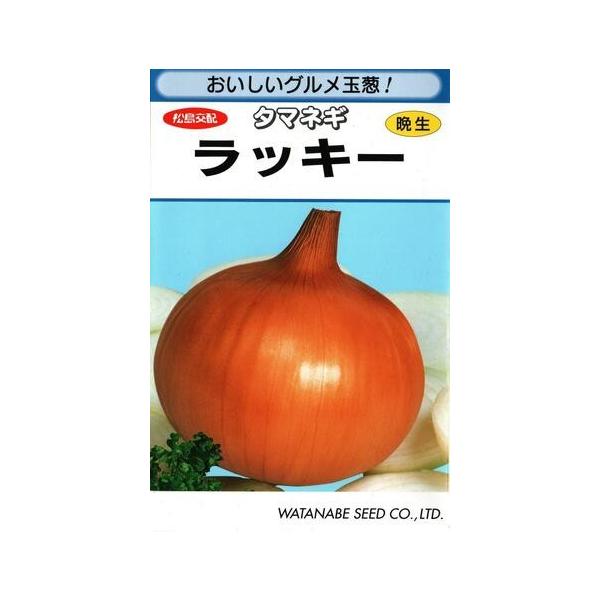 ●生育強勢で、越冬率高く、乾燥にも強い晩生種です。さらにべと病に対して強く、栽培が容易です。●1球350gくらいの甲高黄大球で多収です。●品質は極めて良く、肉質適度に柔らかく、辛みが少なく甘みがあり、生食、煮食に好適です。●吊り下げ貯蔵での...
