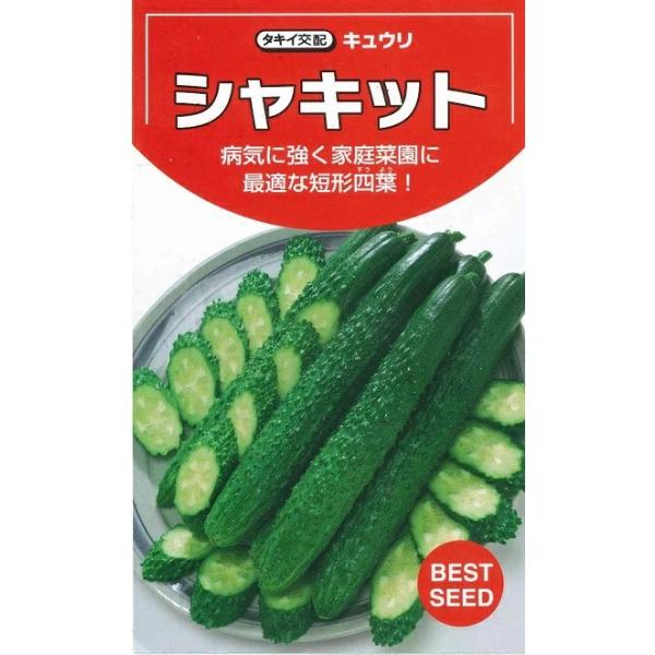 ●従来の四葉系キュウリより秀品率と収量性が高い短形の夏秋用四葉系品種。●平均果長は21〜22cm。●主枝雌花率は4〜5月播種で40〜50％。●うどんこ病、べと病、ウイルス病（特にZYMV）に強いので、減農薬栽培に有利。●四葉系の歯切れや肉質...