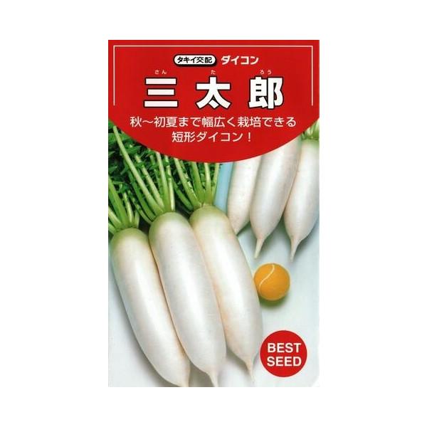 ●自家菜園と直販向きに、作りやすさと煮ダイコンとしてのおいしさに力点を置き開発した短形ダイコン。●抽苔が極めて遅く、耐寒性も強い為、秋どり栽培に最適で厳寒期における冬〜春どり催場にも適する。●短形品種の為、比較的耕土が浅い場所での栽培も可能...