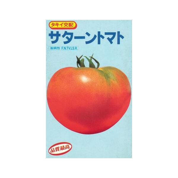 ●食味の優れた極早生の大玉種。●果形は豊円で、果重240g程度。●果色は明るい桃色。●花痕は小さく、裂果が少なくて秀品率が高い。●着果性がよく、吸肥力は中強で耐暑性にすぐれ作りやすい。●トマトモザイクウイルス（Tm-1型）、萎凋病レース1（...