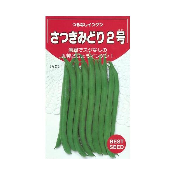 ●莢は長さ14cm程度のどじょうインゲン。●濃緑色でスジのない丸莢種。●肉厚でやわらかく、食味がよく風味豊か。●露地直播栽培では、播種後54日程度で収穫ができる。●草丈が45cm程度のつるなし種。＜栽培の要点＞●排水良好で日当たりのよい圃場...