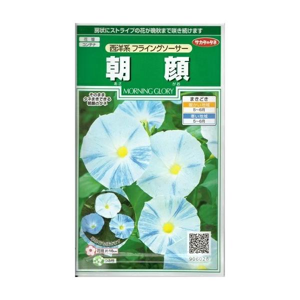 ●1つの花茎に3〜5花をつける西洋系の朝顔です。●葉はまるく、白地に青のストライプの花は、短日開花性により暖かい地域では、8月以降から霜のころまで咲き続けます。●とても発育がよく、主に垣根や日よけに適します。