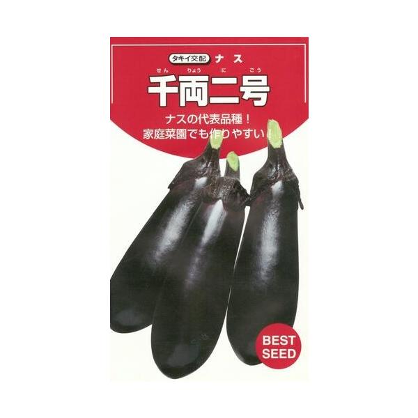 ●トンネル、夏秋どりを中心に広範囲な作型で品質と栽培性に定評のある長卵形品種。●果色は濃黒紫色でつやがよく、果ぞろいがよい。●果皮はやわらかくて品質よく調理の幅が広い。●節間はやや長い。●草勢旺盛でスタミナがあり、果実の肥大が早く、長期栽培...