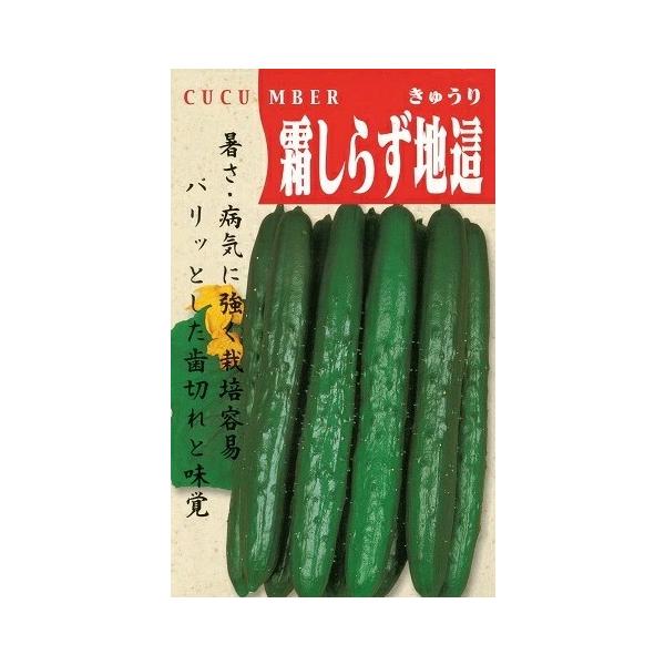 ●パリっとした歯切れと味覚が特徴です。●果は美しい濃緑色で、食味・風味も極上です。●暑さに強く、強健な豊産種です。●種まき、収穫時期が幅広く、長期間栽培できます。