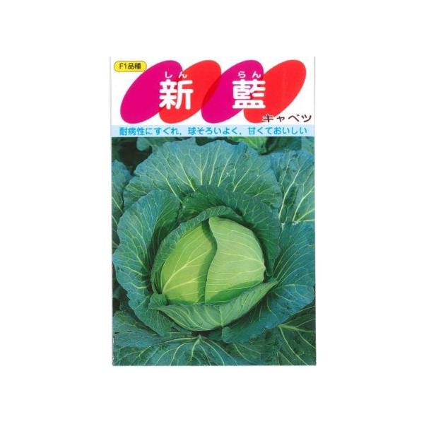 ●生食用から加工用まで幅広い用途に使えるキャベツ。●みずみずしく甘みが強く食味が優れる。●肉質はしっかりしていて歯切れがよく、食感は滑らかでゴワゴワ感が少ない。●耐病性が優れ、一般地の年内どりや高冷地の夏秋どり栽培で主に問題となる各種病害に...