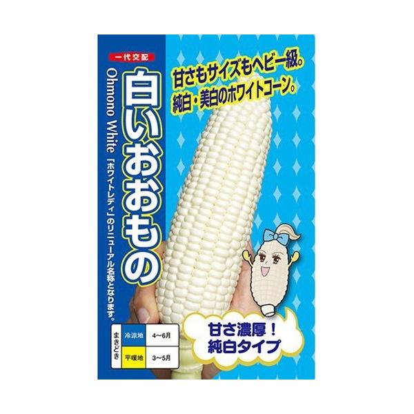 ●成熟日数は84〜85日タイプの中早生種。●粒皮は柔らかく、色はクリーム色系のホワイトではなく、美しい「真っ白な純白」。●先端不稔もほとんど無い。●葉色濃い目で、草丈は170cm前後。●軸太くガッチリしており、倒伏しにくい。●穂形は円筒形で...