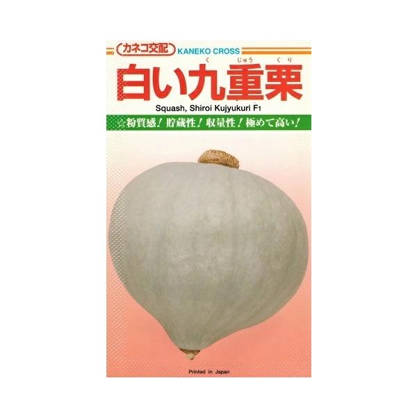 ●果実は2.0〜2.5kg前後の大きさで、揃いが良いです。●基本的に果形はやや尻がとがる甲高の扁円形です。●果皮は灰緑色と乳白色の中間色です。●果肉は濃黄色で、調理後は明るい黄色になります。 ●極粉質で、ホクホク感が強く、食味、食感が極めて...